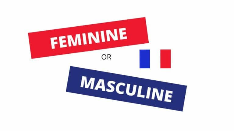 How to Learn the Gender of French Nouns | French Lessons